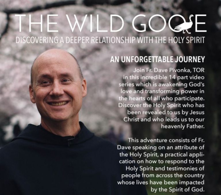 Wild Goose Video Series – Mondays